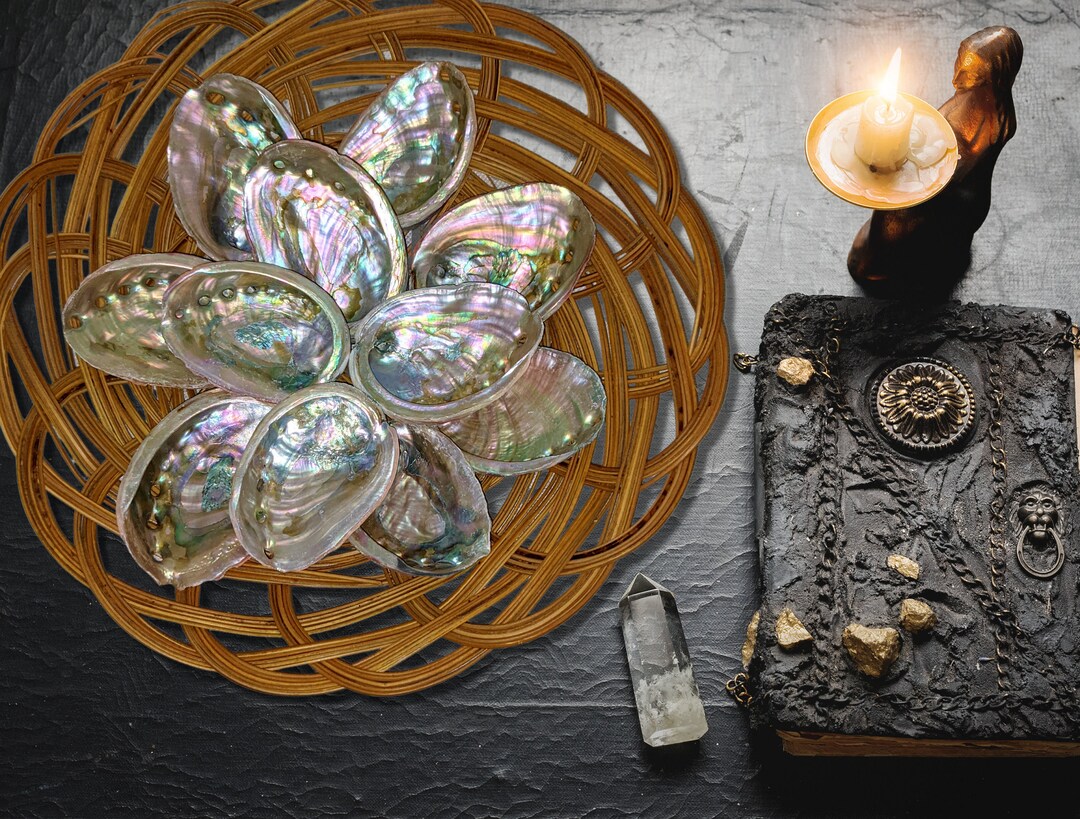 1 Smudge Shell, Pink Abalone Shell 3"-4", Smudging Pot, Housewarming ...