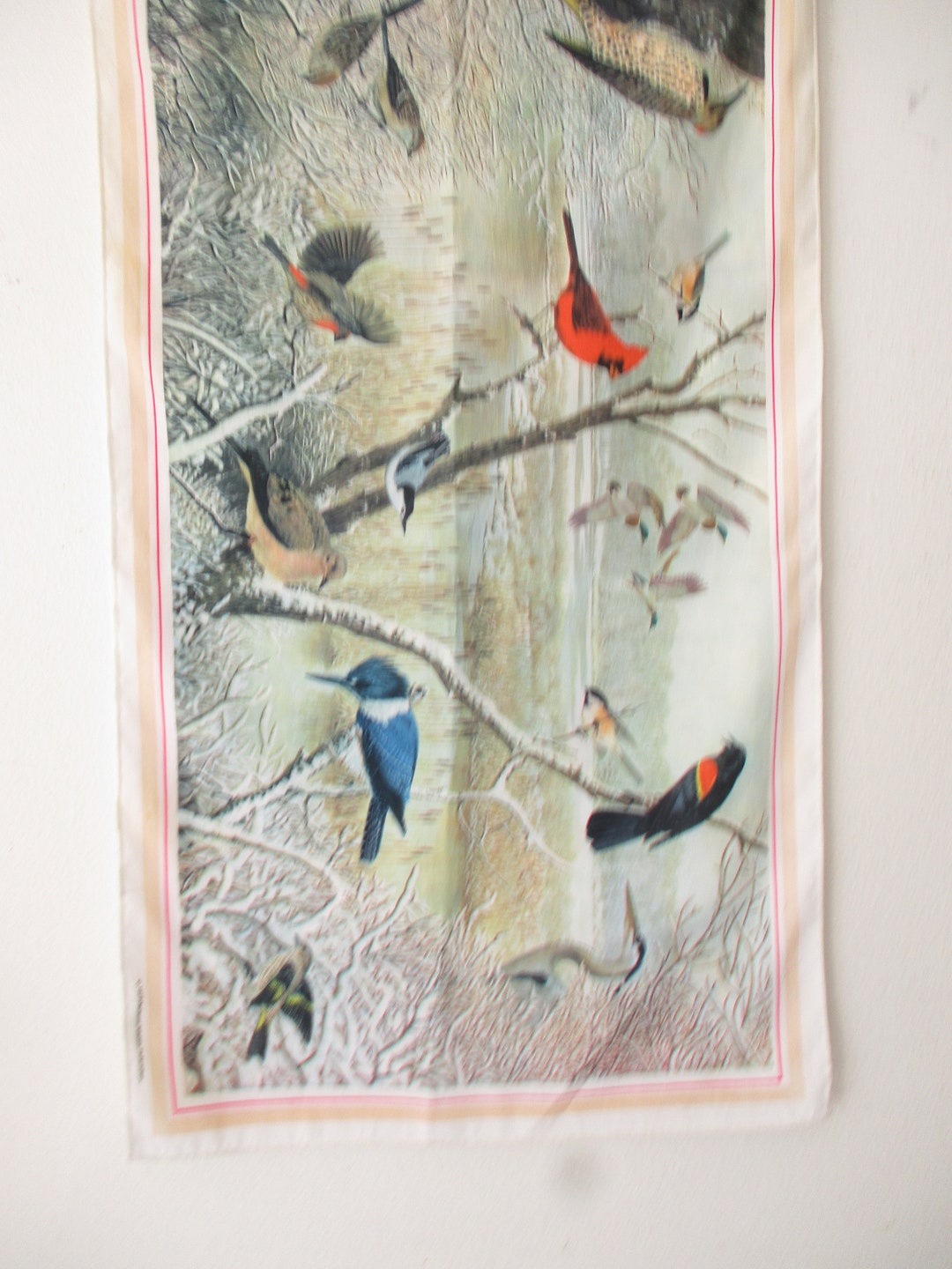 National Wildlife Federation Bird Print Scarf, Woodland Fashion Scarves ...