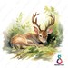 Retro Watercolor Deer Clipart, Vintage Woodland Animal Graphics ...