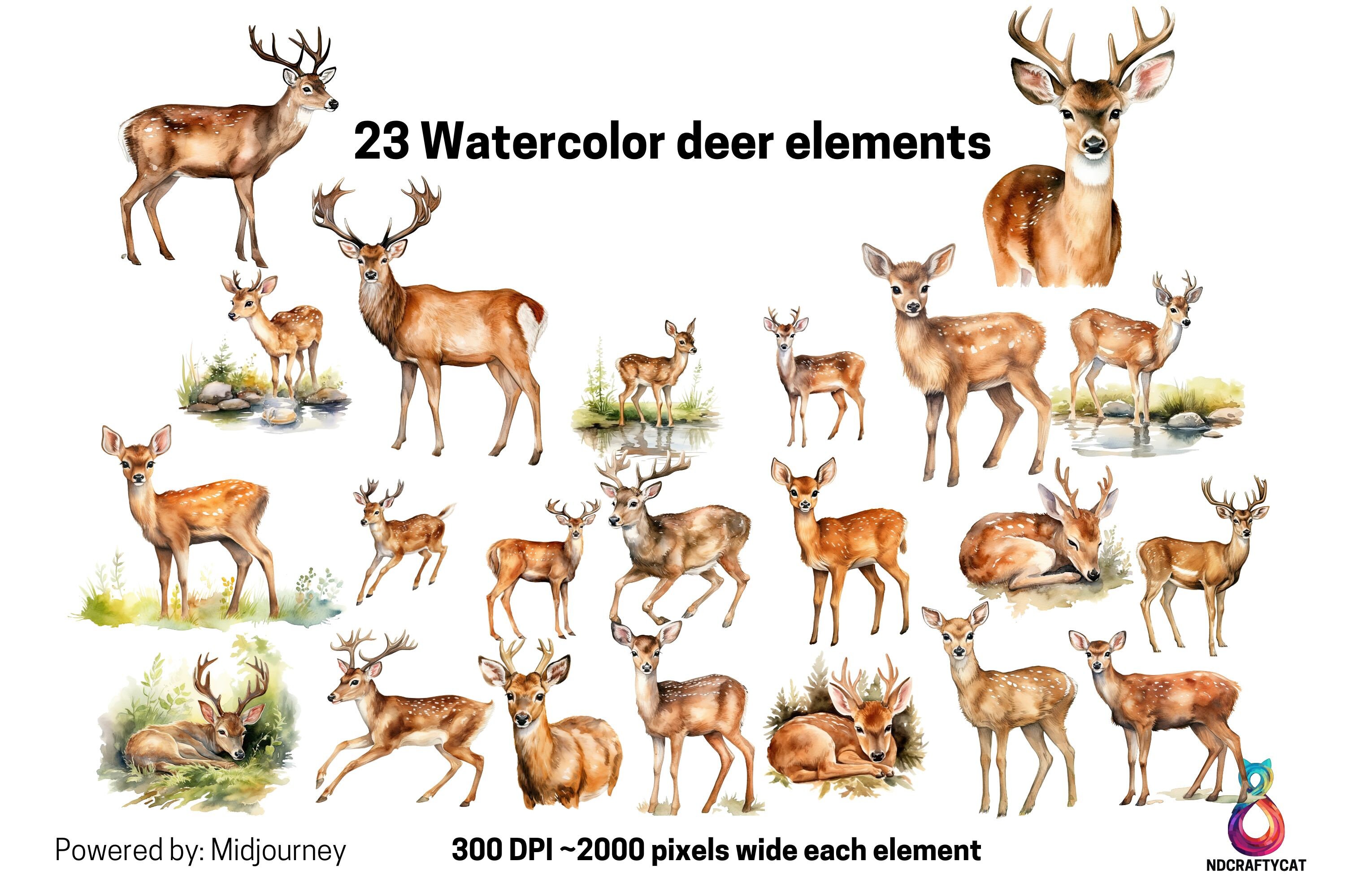 Retro Watercolor Deer Clipart, Vintage Woodland Animal Graphics ...