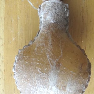 Elk Leather Medium Rawhide Ball Bag/tobacco Canteen- - Etsy