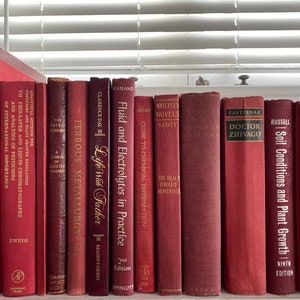 Red Book Bundle. Red Book Stack. Accent Pieces for Staging and ...