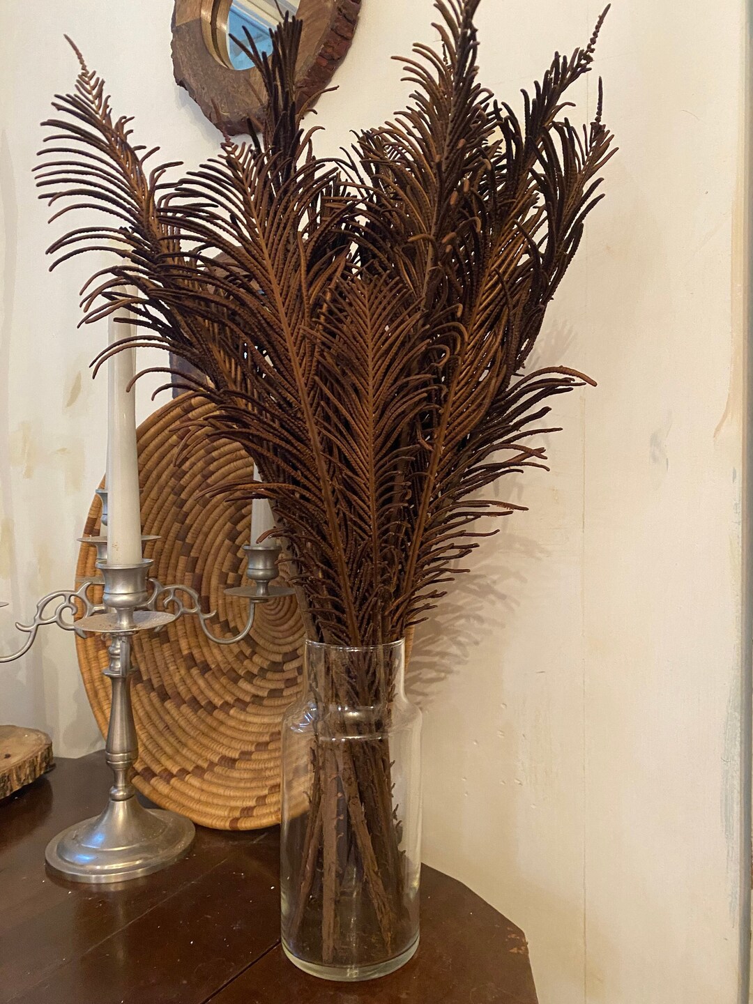 Dried Ostrich Fern Fronds, Fern Fronds, Fidflehead Fronds, Wild Fern ...