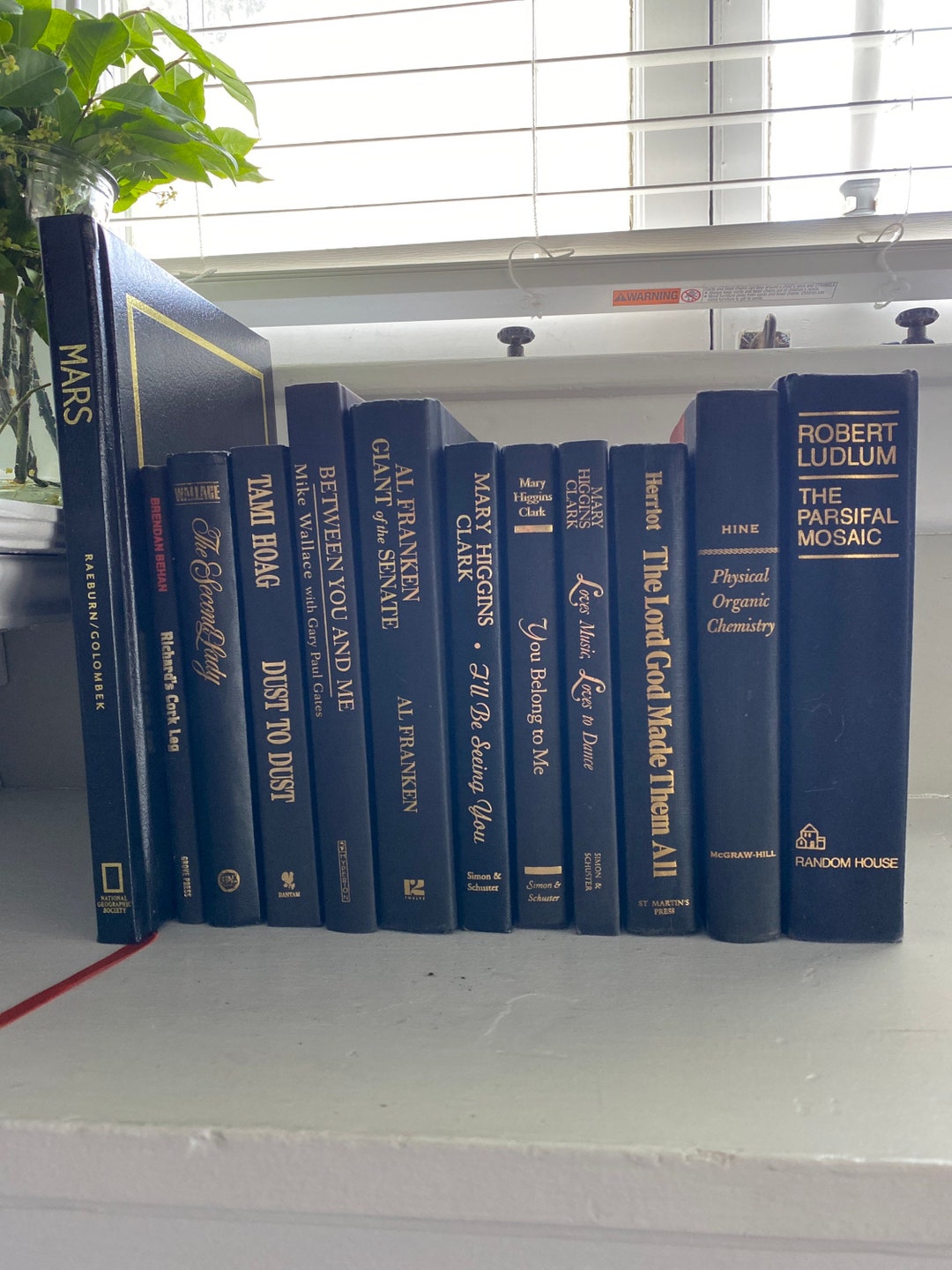 Black With Gold Metallic Lettering Book Bundle. Black Book Stack ...