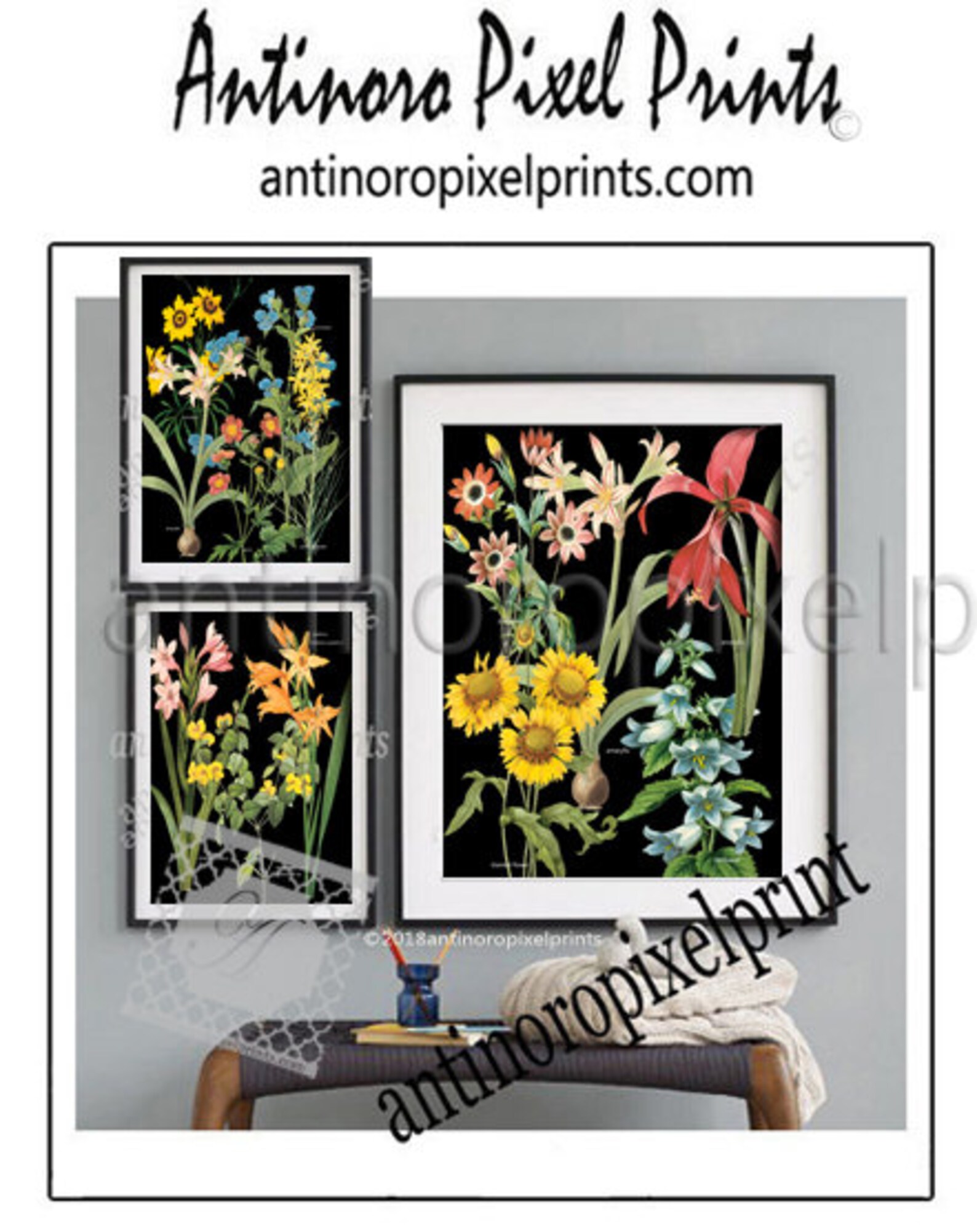 Garden Botanical Color Flower Print Gallery Set of 3 Prints | Etsy
