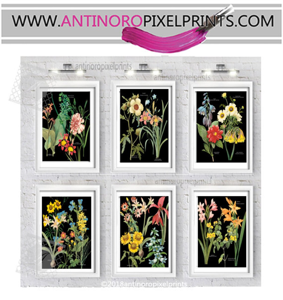 Color Flower Garden Botanical Print Gallery Set of 6 8x10 | Etsy