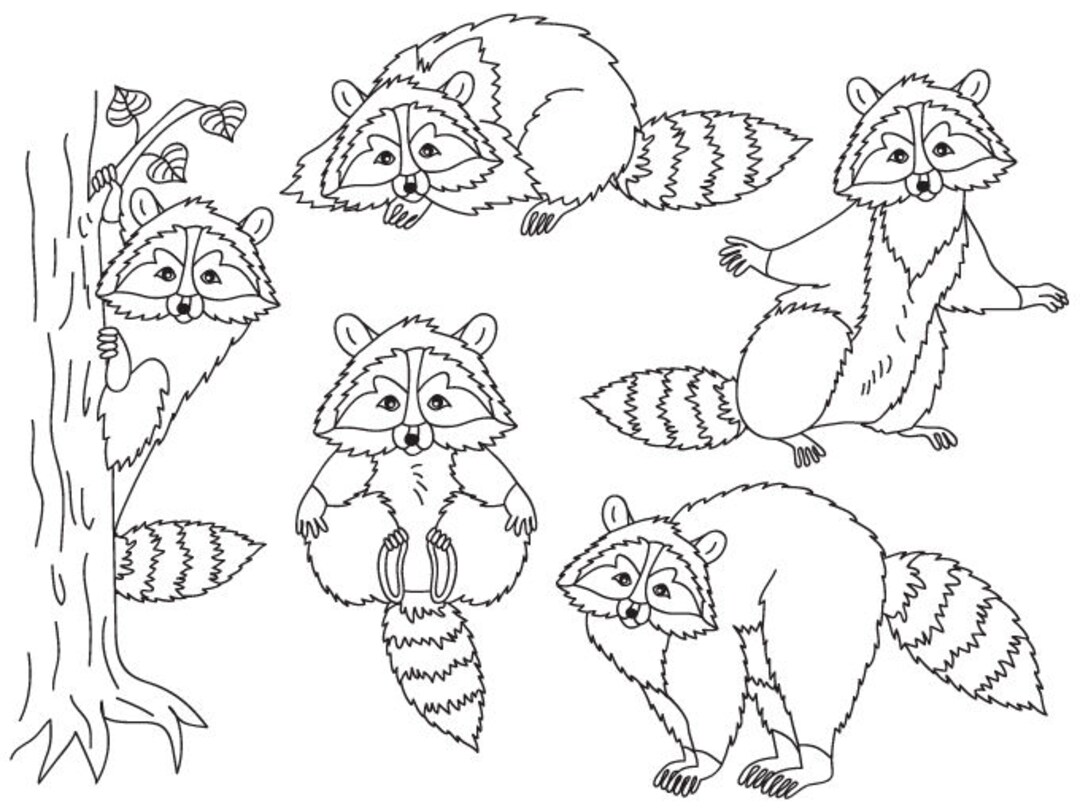 Raccoon Clipart Digital Vector Woodland Forest Animals - Etsy