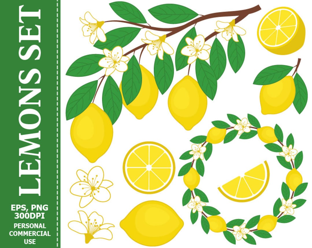 Digital Lemon Clip Art Leaves Flowers Branch Wreath - Etsy