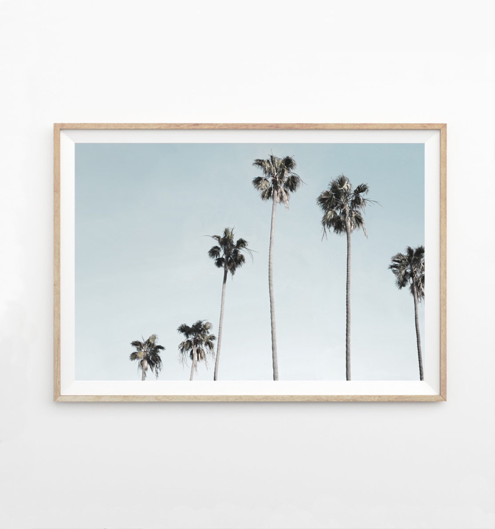 Palm Tree Print Palm Tree Printable Palm Tree Poster | Etsy