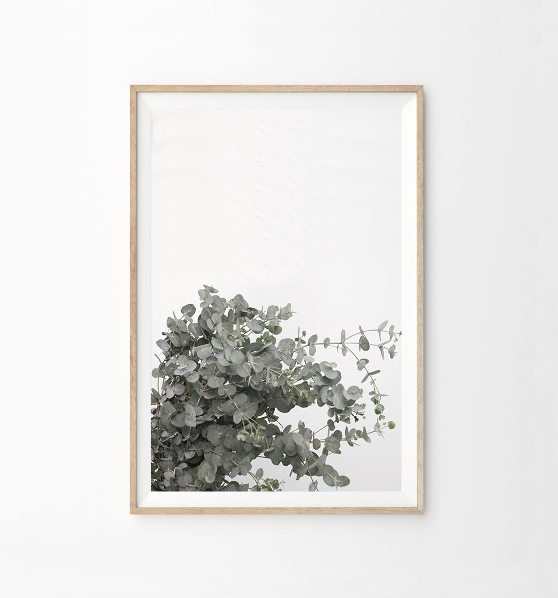 Eucalyptus Print Download Eucalyptus Poster Printable Instant | Etsy