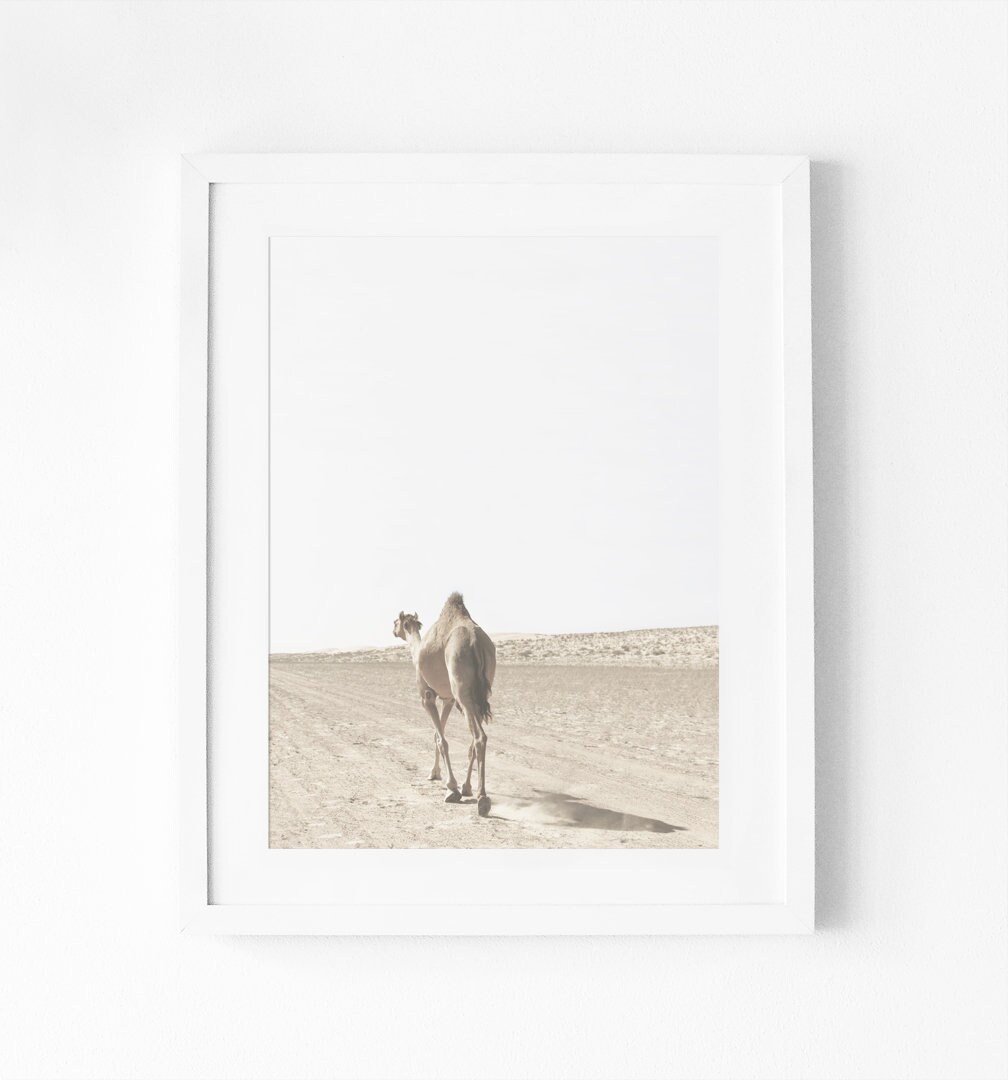 Camel Print Instant Download Camel Wall Art Printable Camel | Etsy