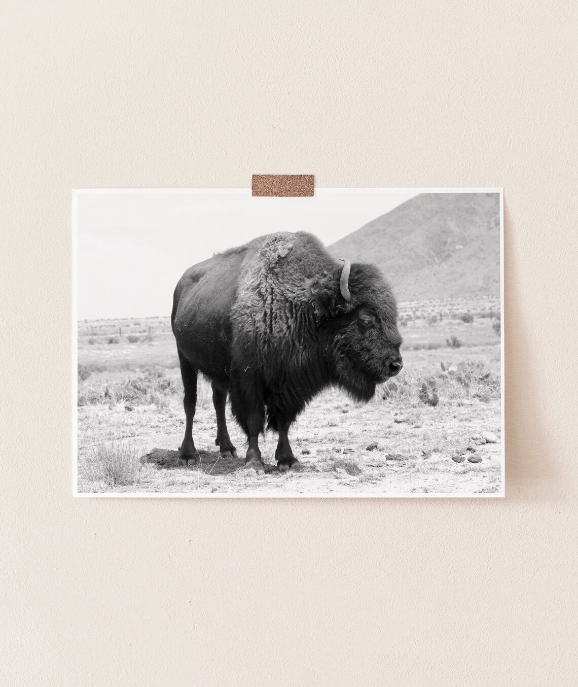 Buffalo Wall Art Print Buffalo Printable Buffalo Poster - Etsy