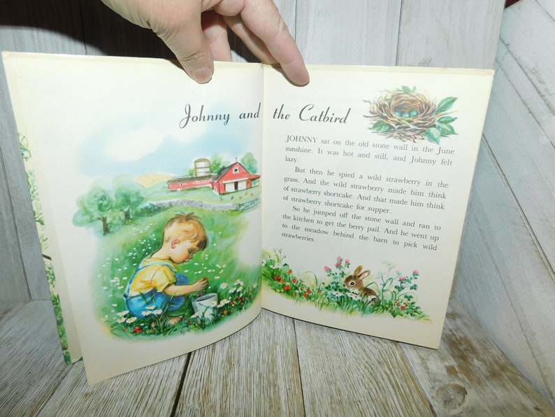 Johnny and the Birds Book, A Rand Mcnally Book Tip Top Elf Book ...