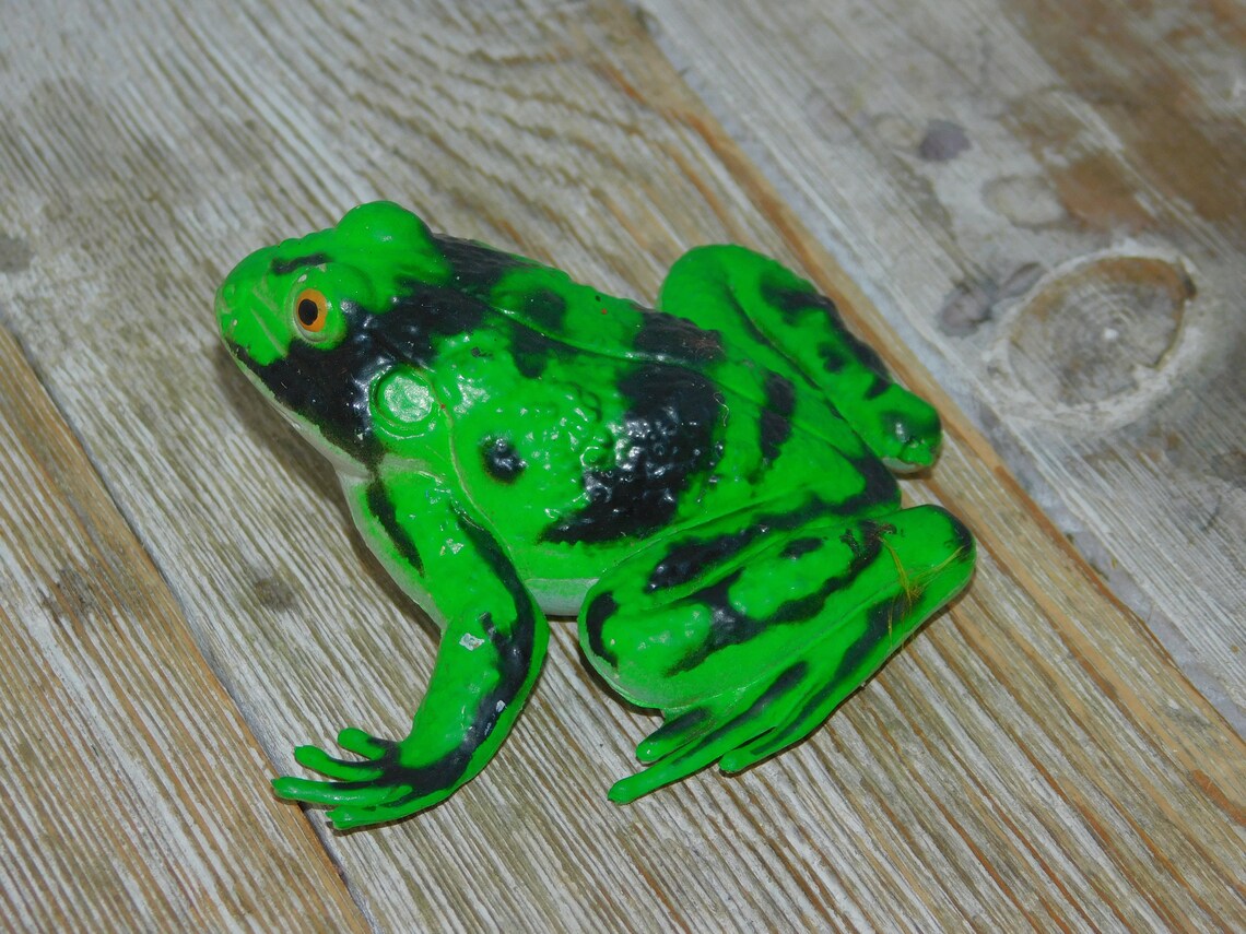 Rubber Toy Frog, Nice Size Frog, Spotted Frog, Vint Toys, Toys, Rubber ...