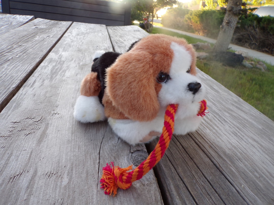 Furreal Friends Puppy W Rope WORKS, Pup Interactive Hasbro Toy Battery ...