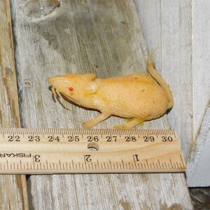 Vintage Toy Rubber Rat, Toy Rat, Vintage Toys, Vintage Rubber Rat ...