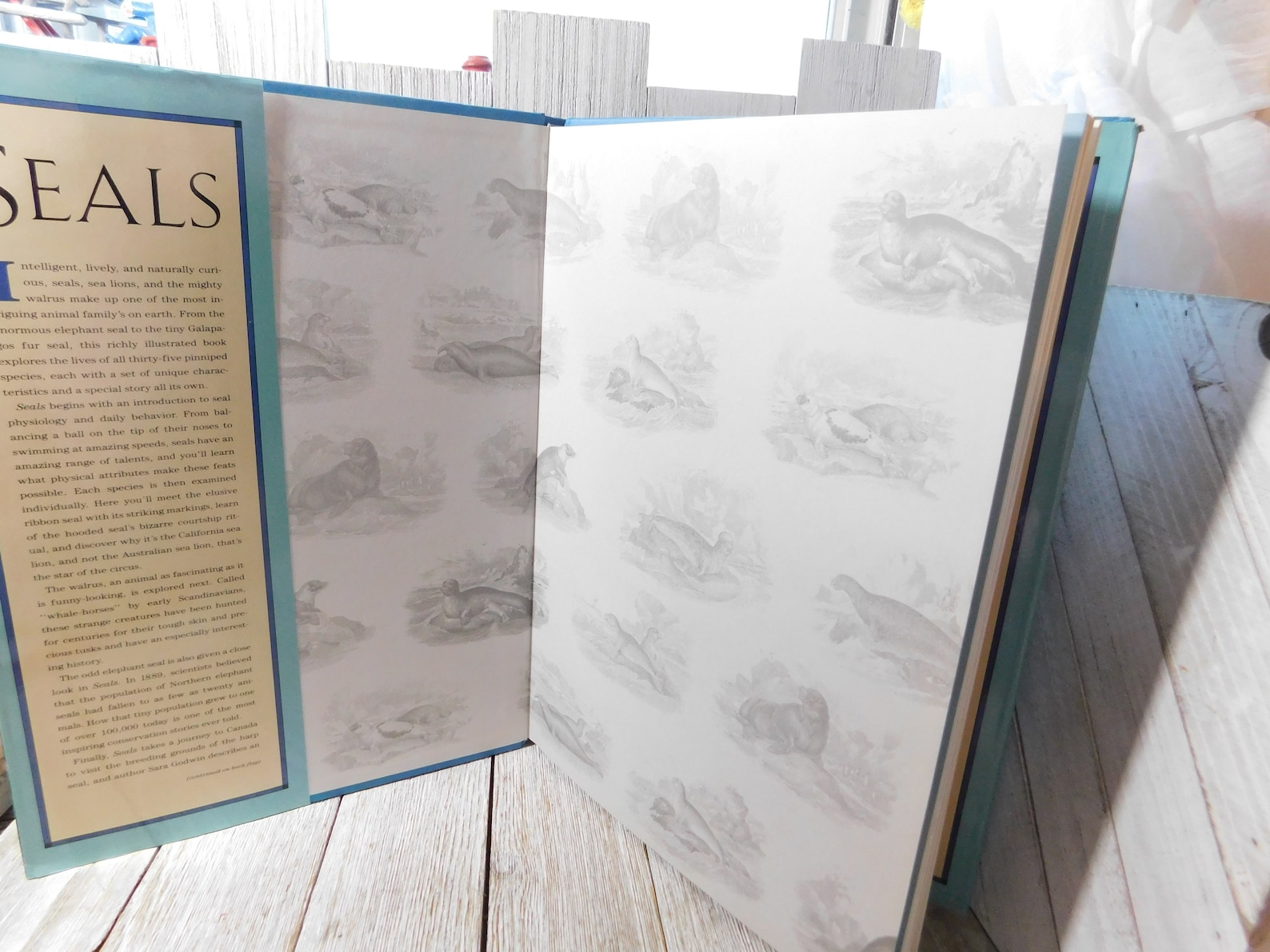 Vintage Seals Book by Sara Godwin 1990 Hard Cover Book - Etsy