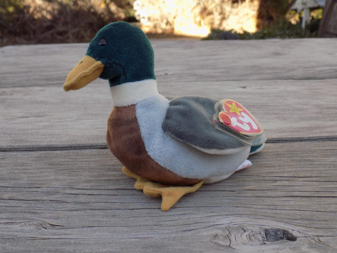 Ty Duck Jake Beanie Baby Plush,1998 Ty Duck, Vintage Plush, Vtg Stuffed ...
