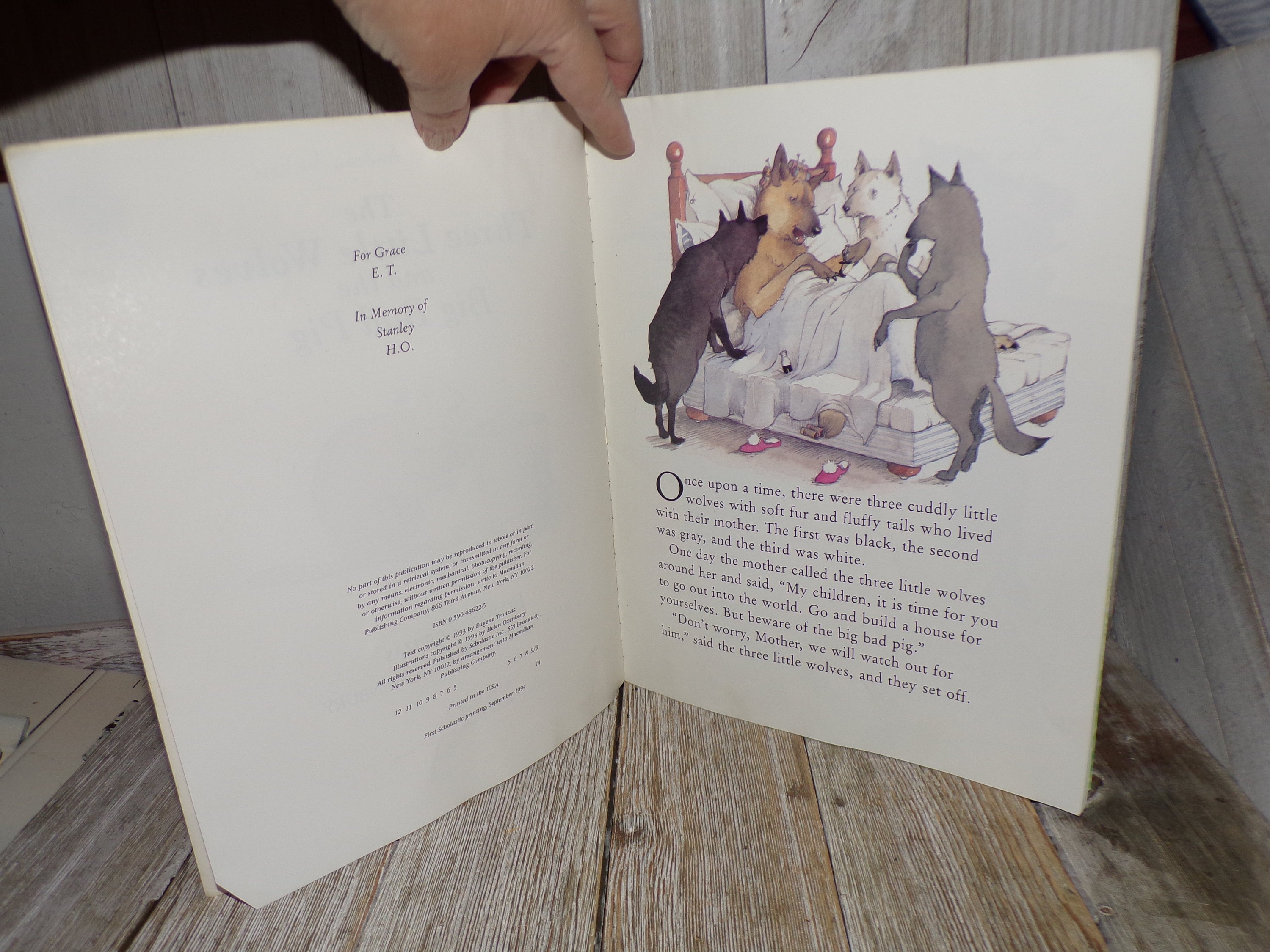 The Little Wolves and the Big Bad Pig by Eugene Trivizas and Helen ...