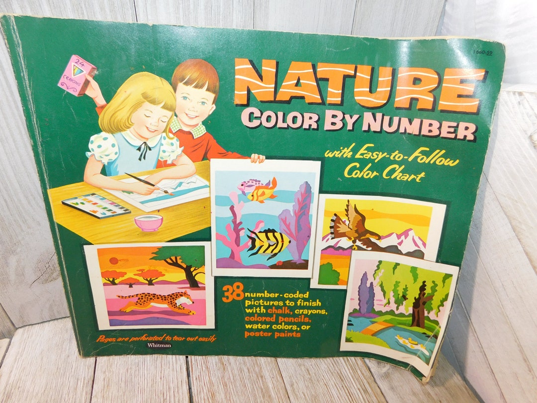 Whitmans Nature Color by Number Book Vintage Children's Book Prop Gift ...