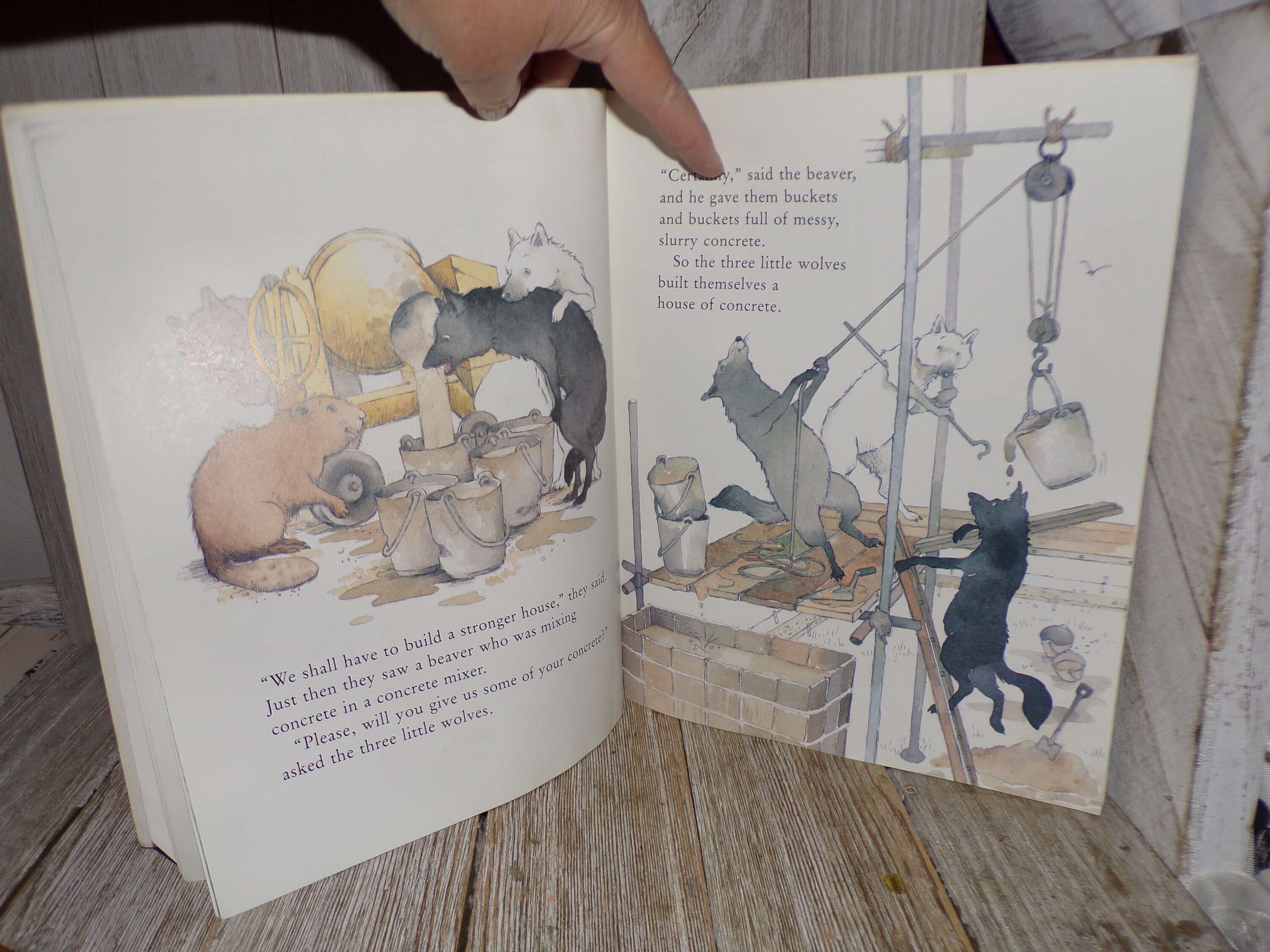The Little Wolves and the Big Bad Pig by Eugene Trivizas and Helen ...