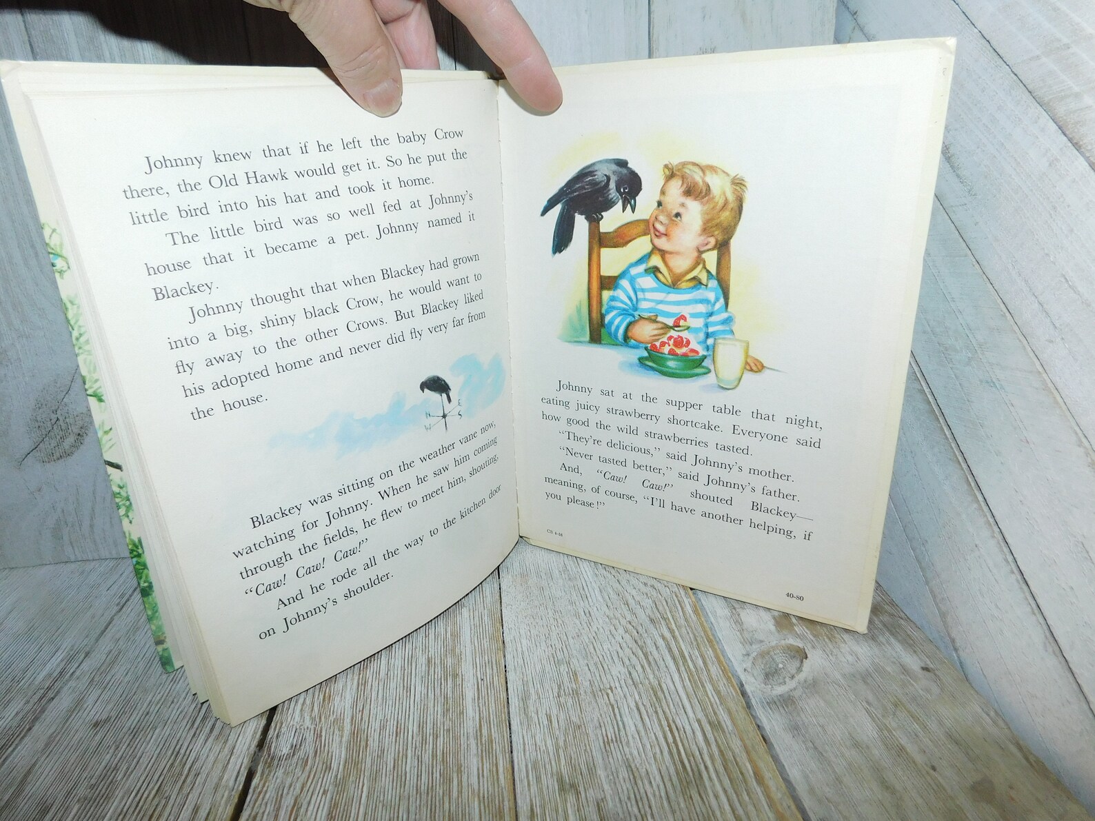 Johnny and the Birds Book, A Rand Mcnally Book Tip Top Elf Book ...