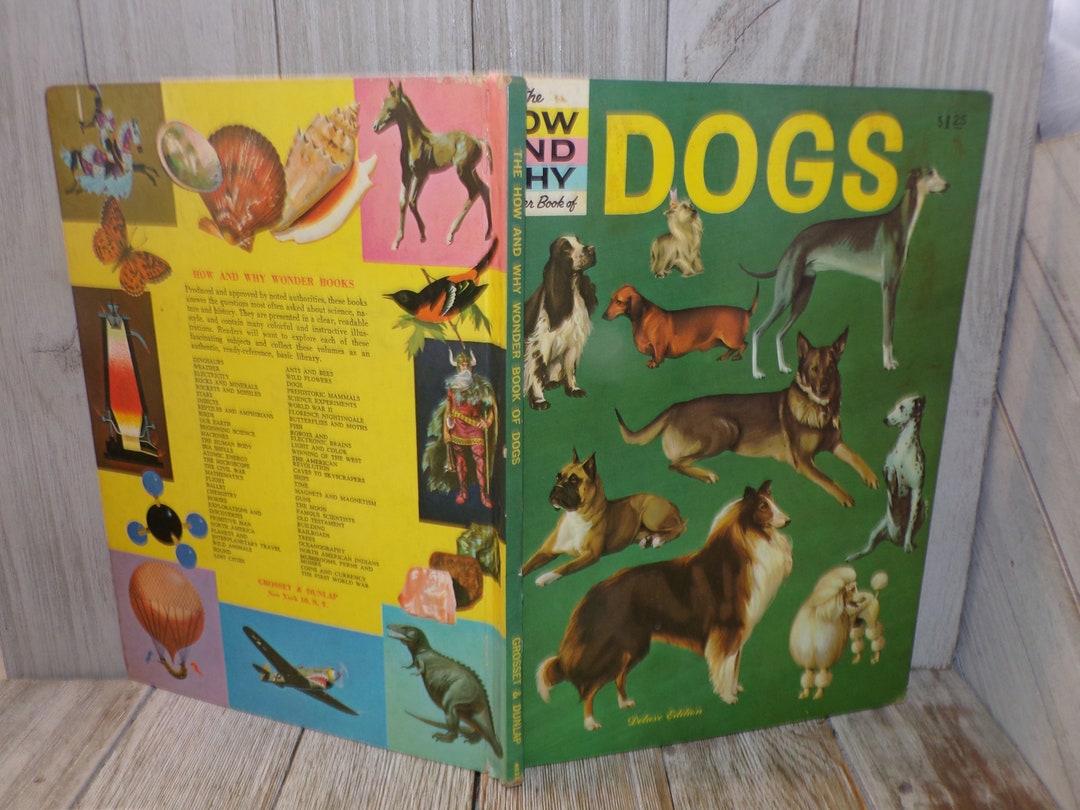 How and Why Wonder Books DOGS 1962 Hardcover Book, Childrens Book ...