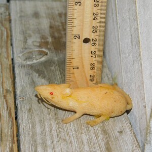 Vintage Toy Rubber Rat, Toy Rat, Vintage Toys, Vintage Rubber Rat ...