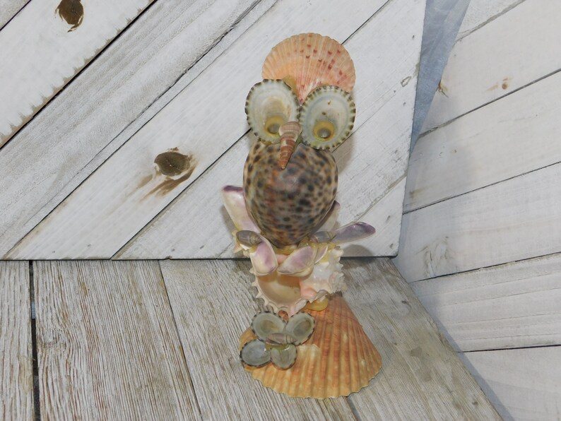 Vintage Owl Made of Sea Shells Vintage Sea Shells Sea Shell | Etsy