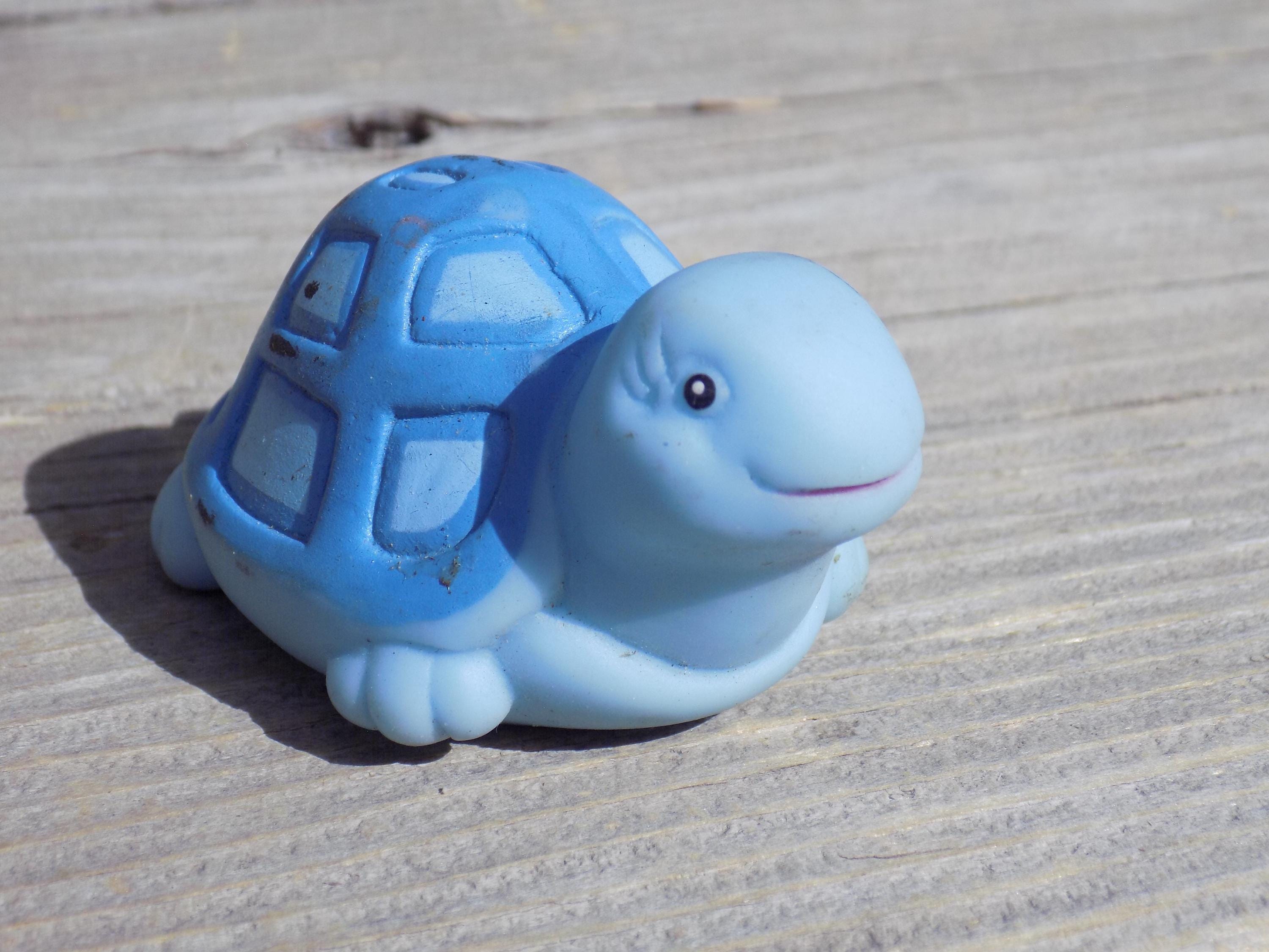 Turtle Blue Toy Turtle, Rubber Toys, Rubber Toys, Memories, Gift, Prop ...