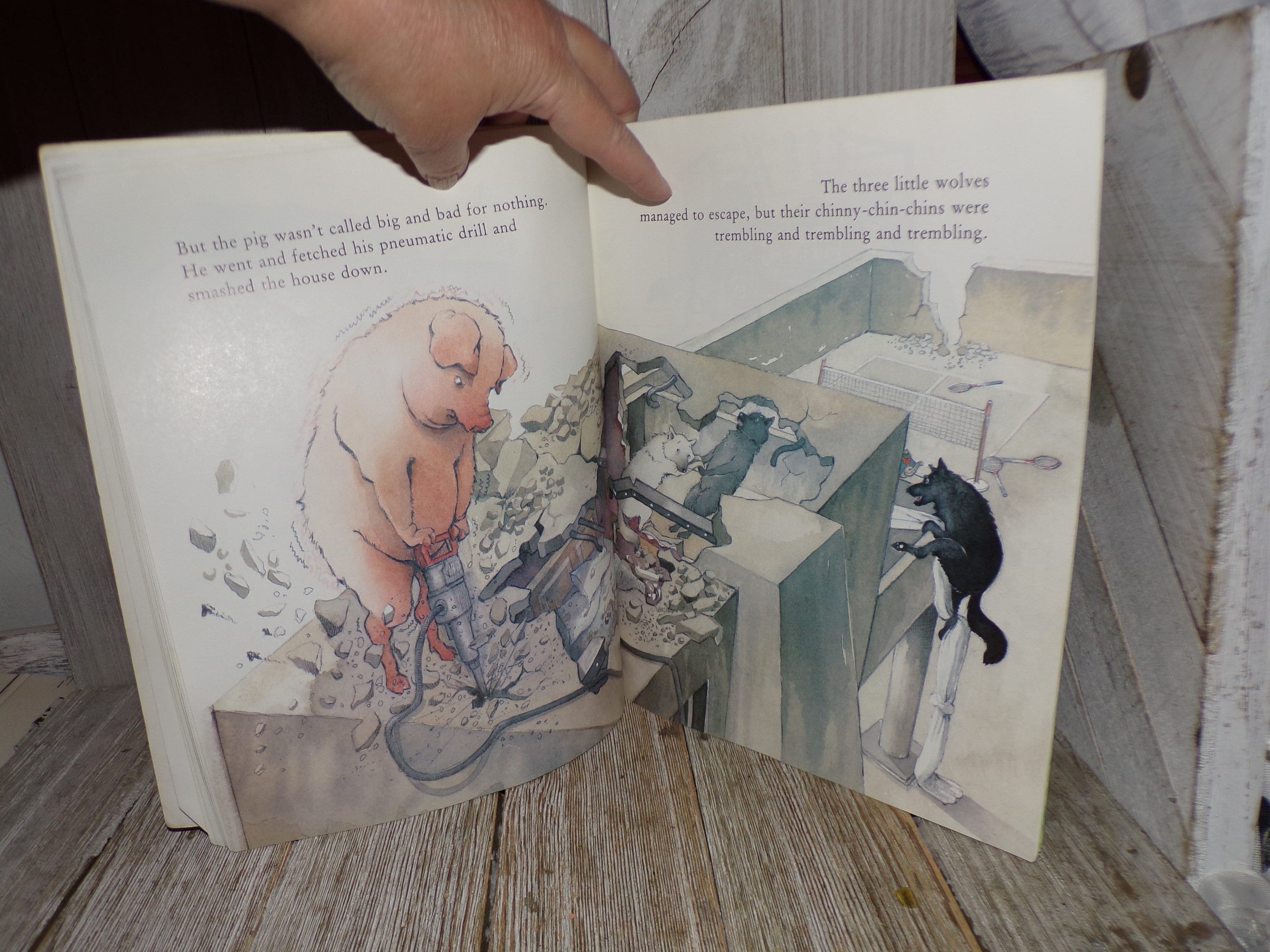 The Little Wolves and the Big Bad Pig by Eugene Trivizas and Helen ...