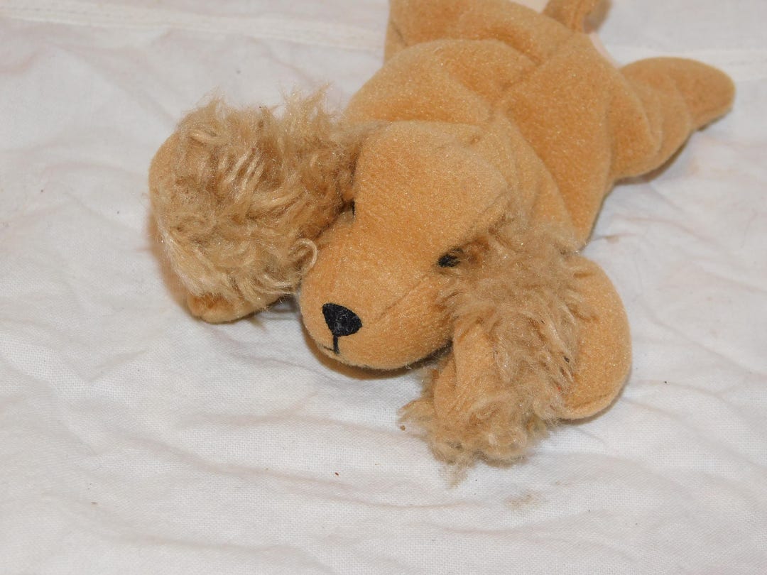 TY Tiny Ty Beanie Baby Cocker Spaniel Spunky 1993 Inch, Vintage Ty ...