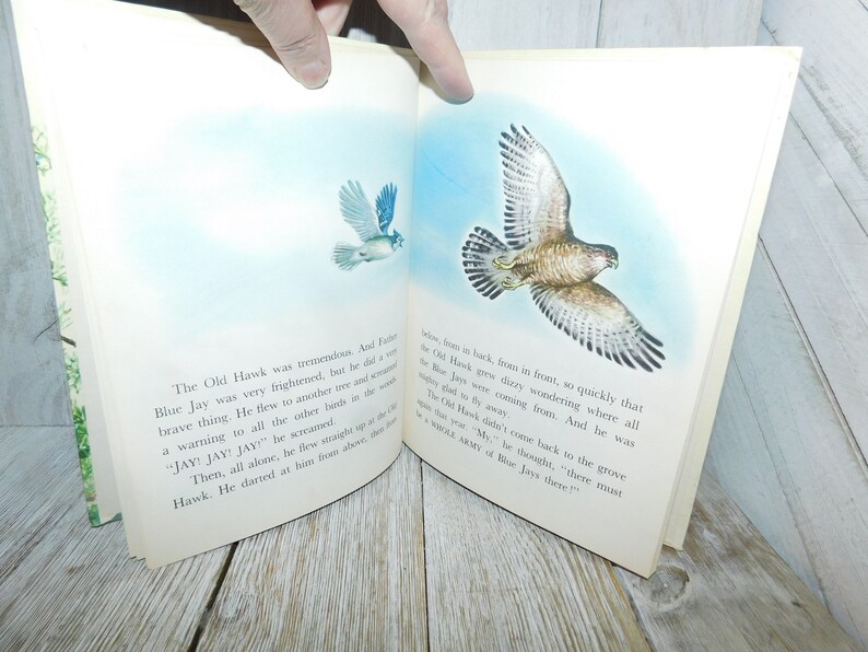 Johnny and the Birds Book, A Rand Mcnally Book Tip Top Elf Book ...