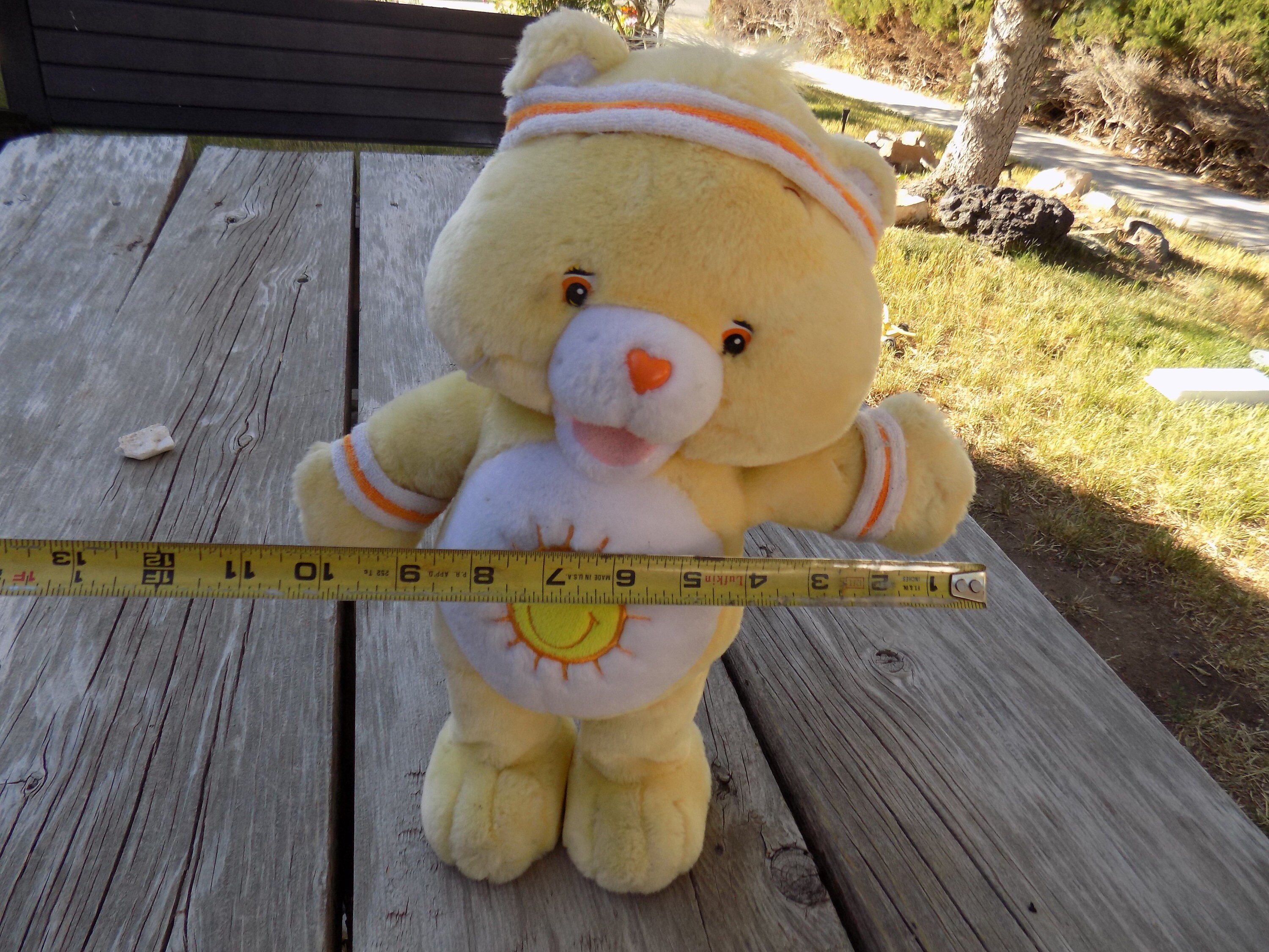 Care Bears Fit N Fun Funshine Work Out Exercise Bear Toy 2004 WORKS ...