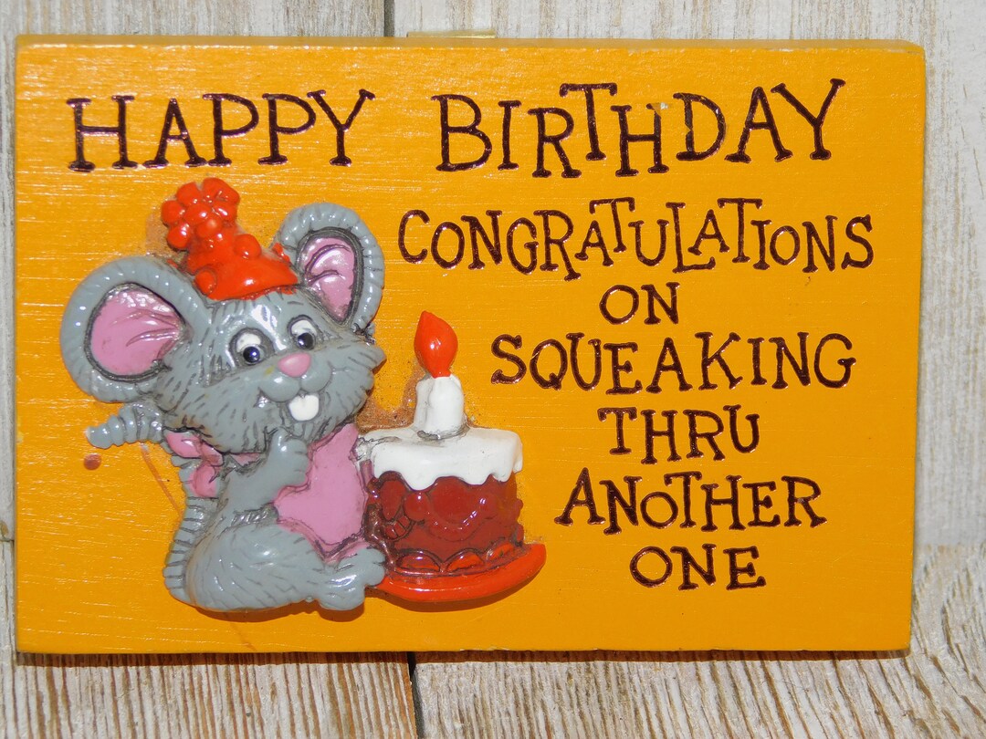 Vintage Happy Birthday Congratulations on Squeaking Through Another One ...