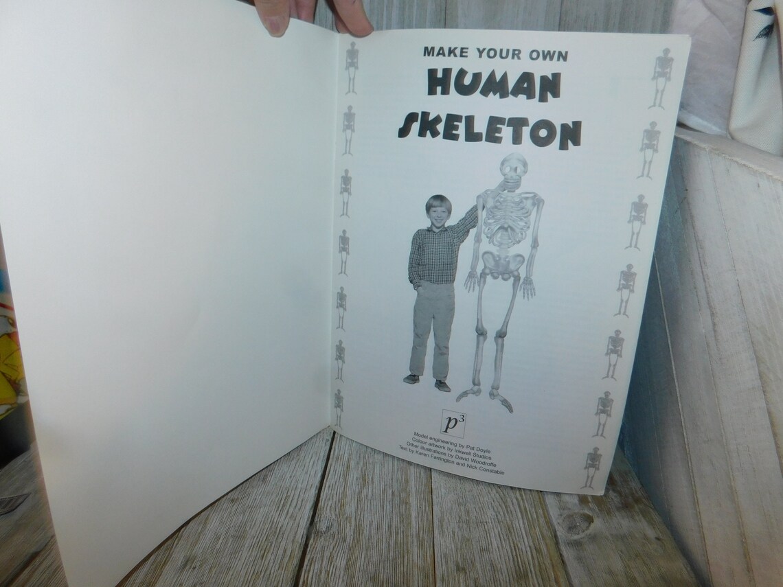 Make Your Own Human Skeleton Skeletons Easy to Assemble Model - Etsy
