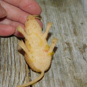 Vintage Toy Rubber Rat, Toy Rat, Vintage Toys, Vintage Rubber Rat ...