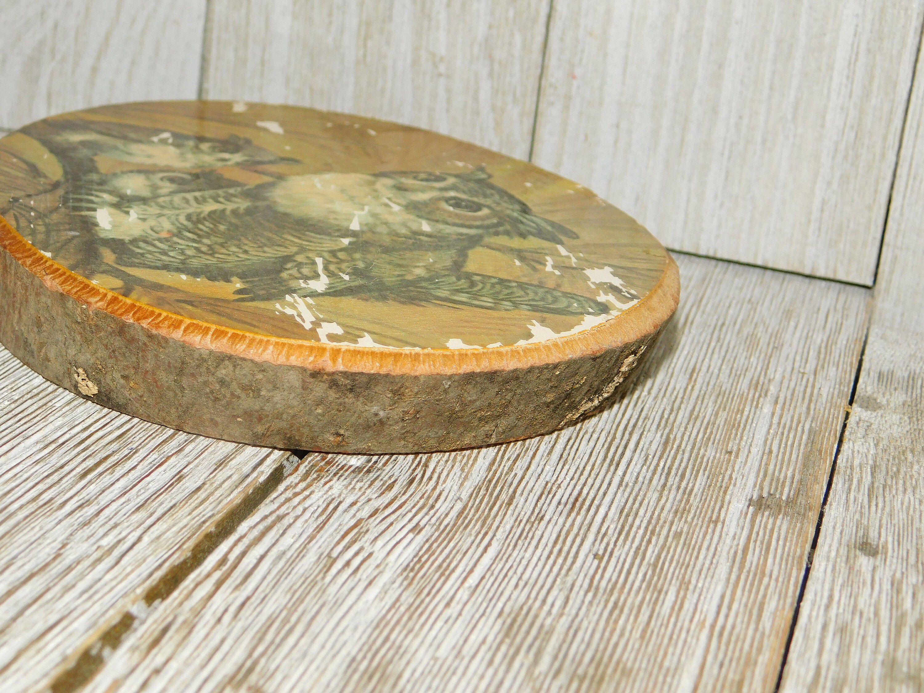 Log Owl Bird, Oval Log Owl Picture, Vintage Home Decor, Country Home ...