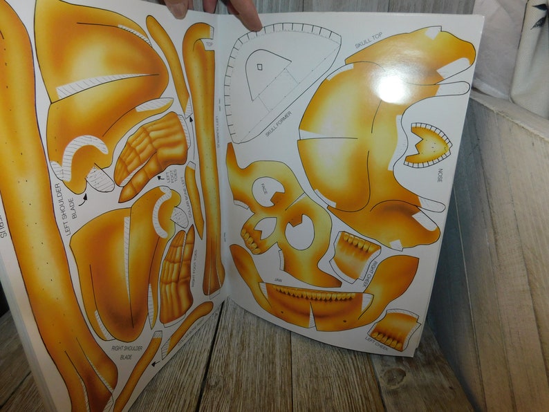 Make Your Own Human Skeleton Skeletons Easy to Assemble Model - Etsy