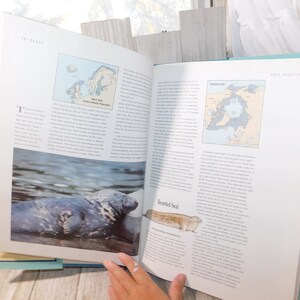 Vintage Seals Book by Sara Godwin 1990, Hard Cover Book, Vintage ...