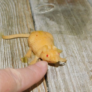 Vintage Toy Rubber Rat, Toy Rat, Vintage Toys, Vintage Rubber Rat ...