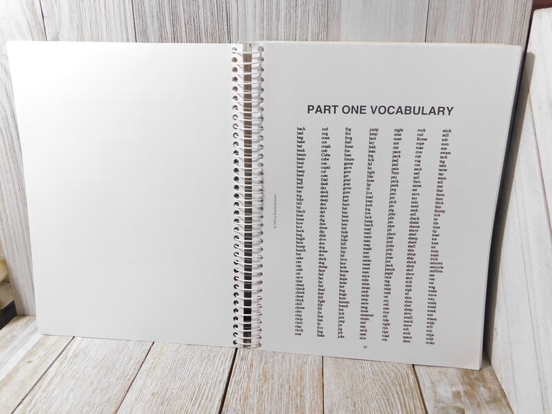 Sound Out Book Ready to Use Phonics Activitys for Special - Etsy
