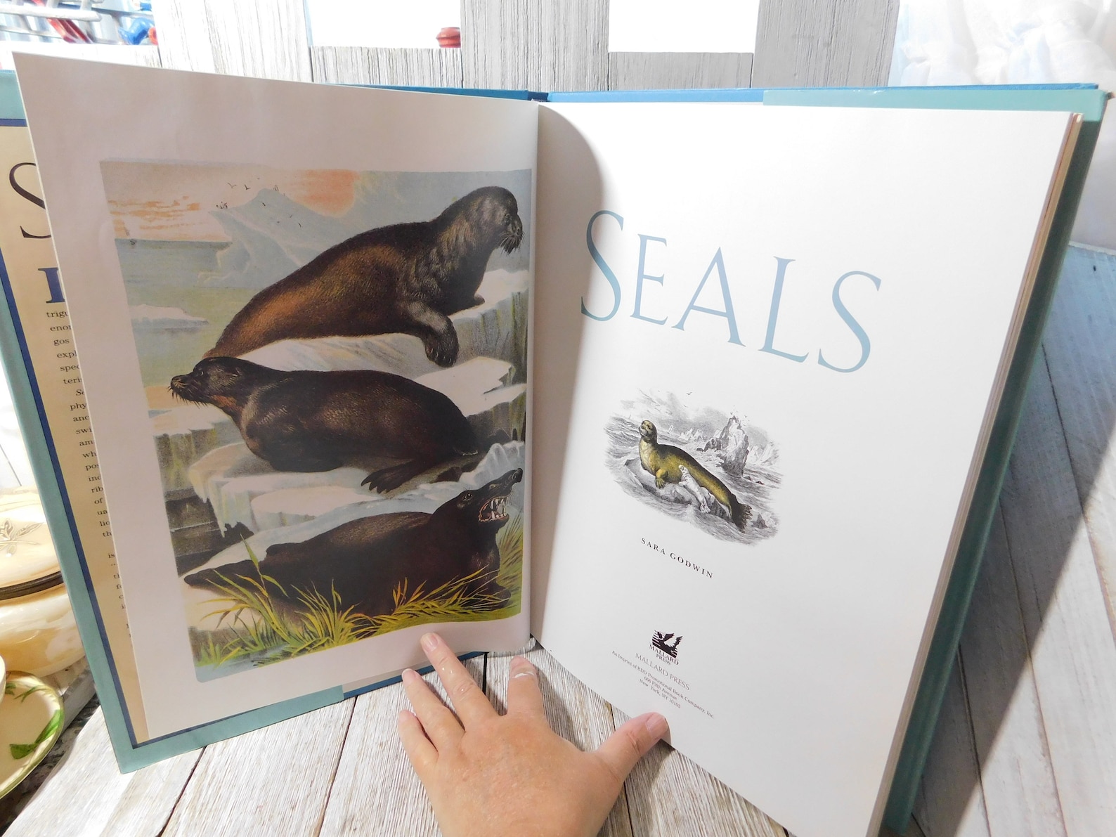 Vintage Seals Book by Sara Godwin 1990 Hard Cover Book - Etsy