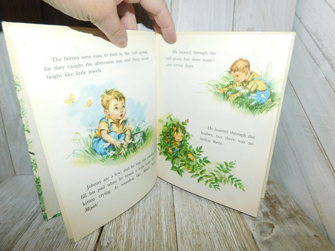 Johnny and the Birds Book, A Rand Mcnally Book Tip Top Elf Book ...