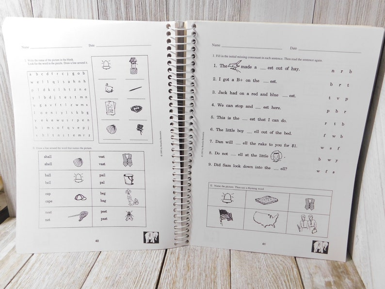 Sound Out Book Ready to Use Phonics Activitys for Special - Etsy