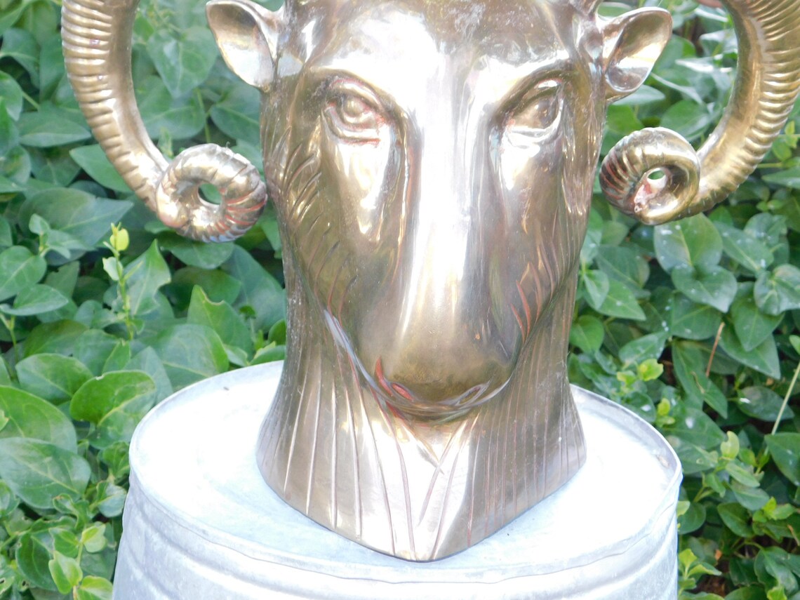 Vintage Brass Ram Head Mid Century Brass Unique Vintage | Etsy