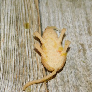 Vintage Toy Rubber Rat, Toy Rat, Vintage Toys, Vintage Rubber Rat ...