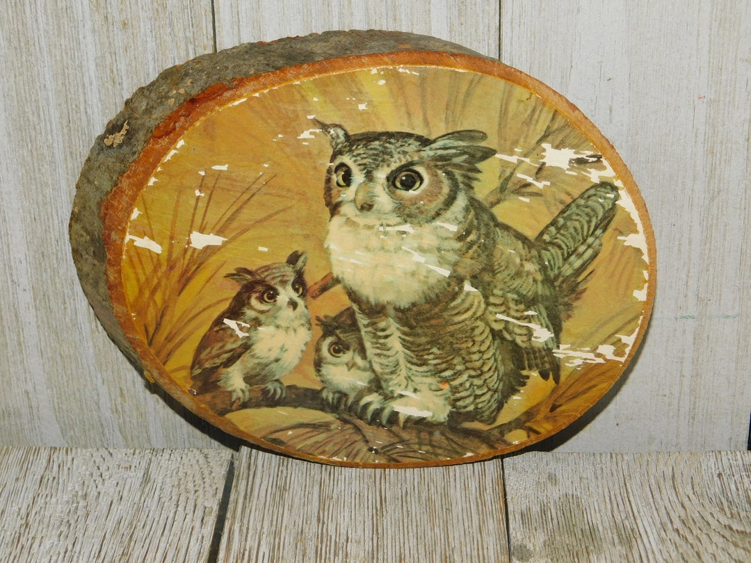 Log Owl Bird, Oval Log Owl Picture, Vintage Home Decor, Country Home ...