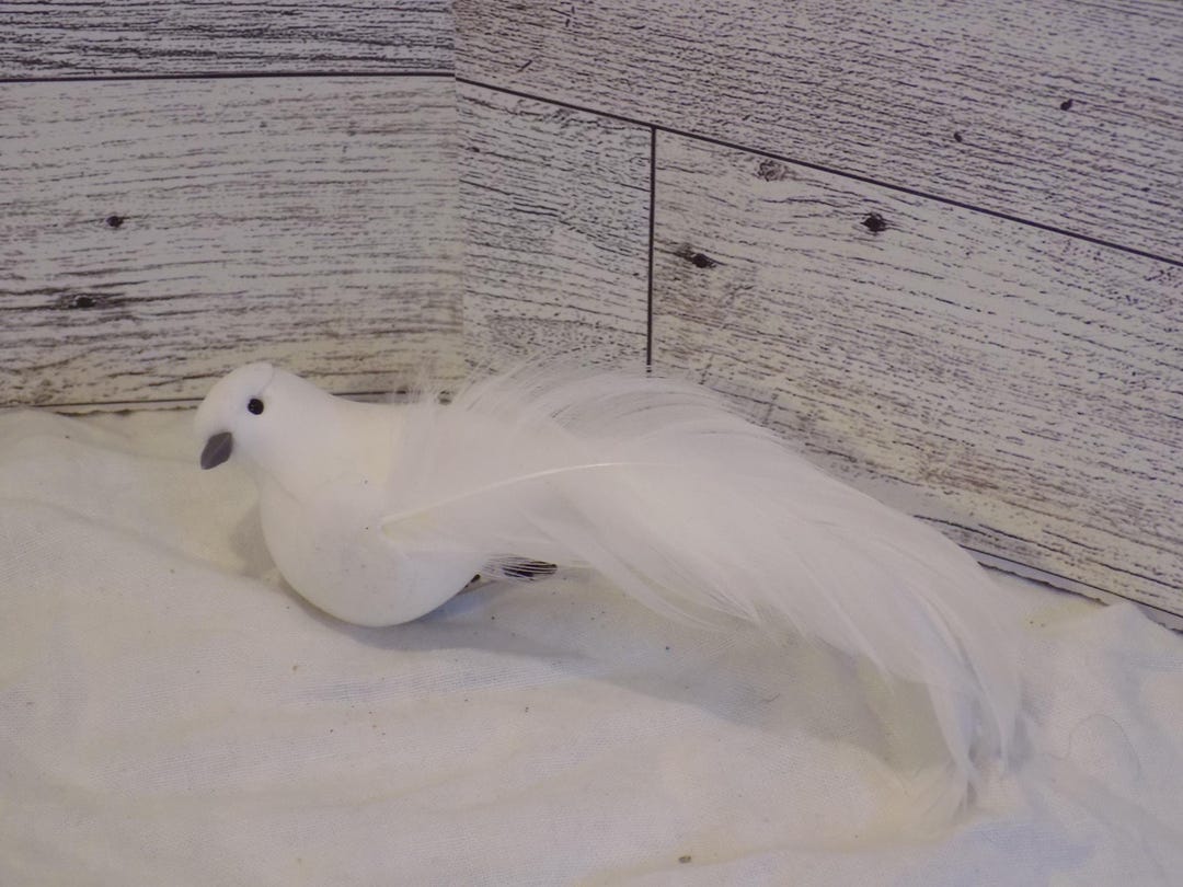 BIRD White Dove CLIP on Bird, Ornament Home Decor, Memories, Gift, Prop ...