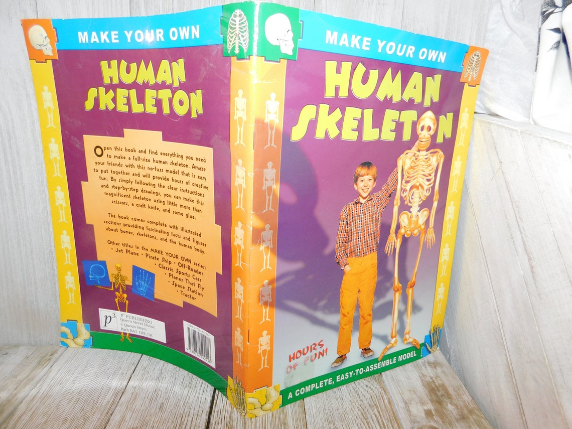 Make Your Own Human Skeleton Skeletons Easy to Assemble Model - Etsy